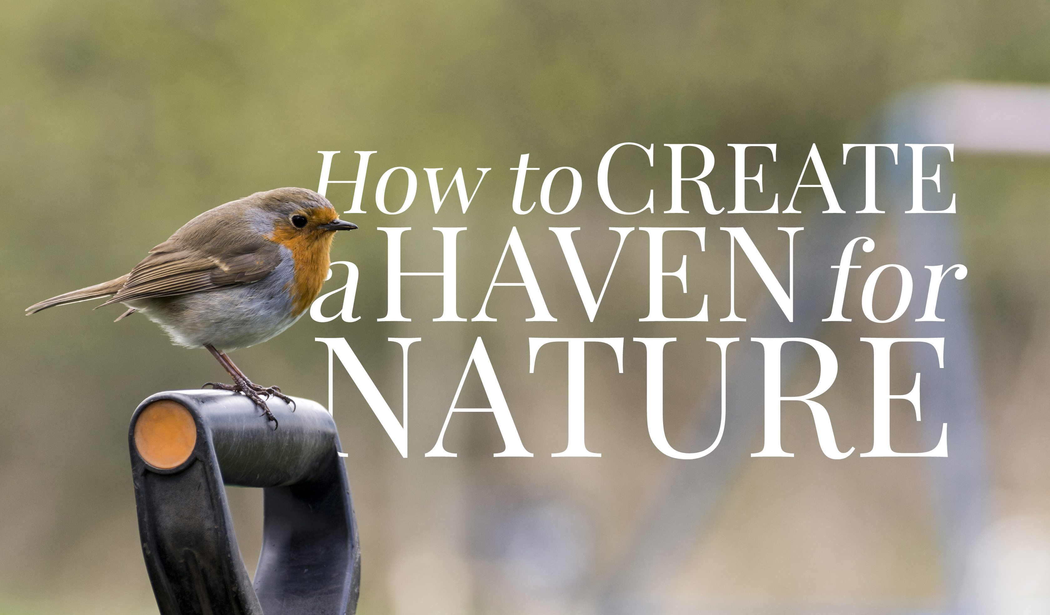 How to Create a Haven for Nature - Haven Furniture