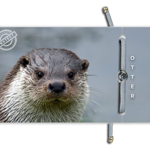 The Haven Home Interiors | Furniture | Wirral & Chester